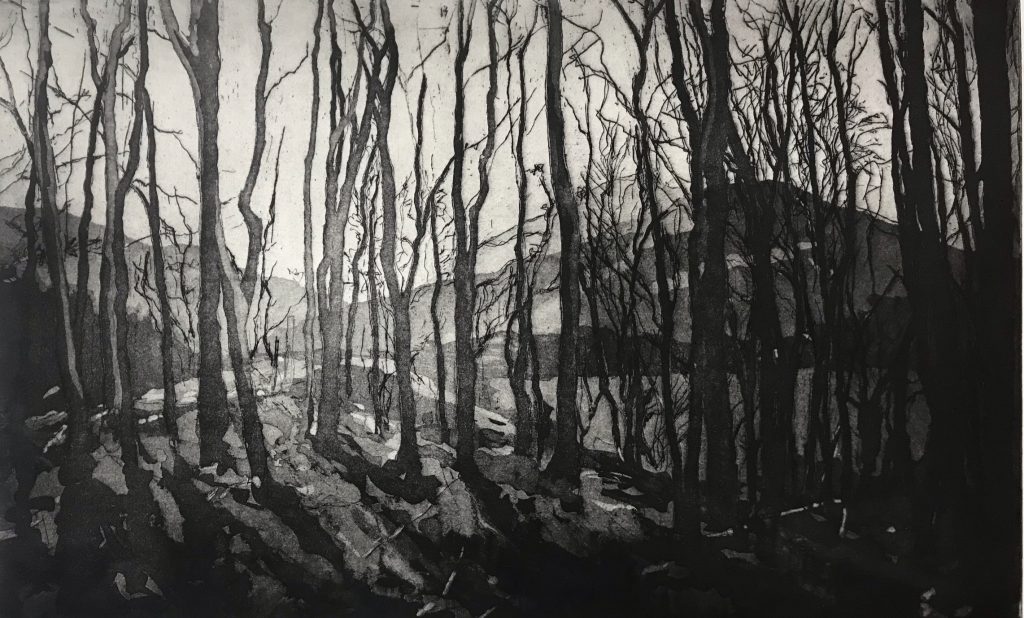 Mary Gillett | Etchings